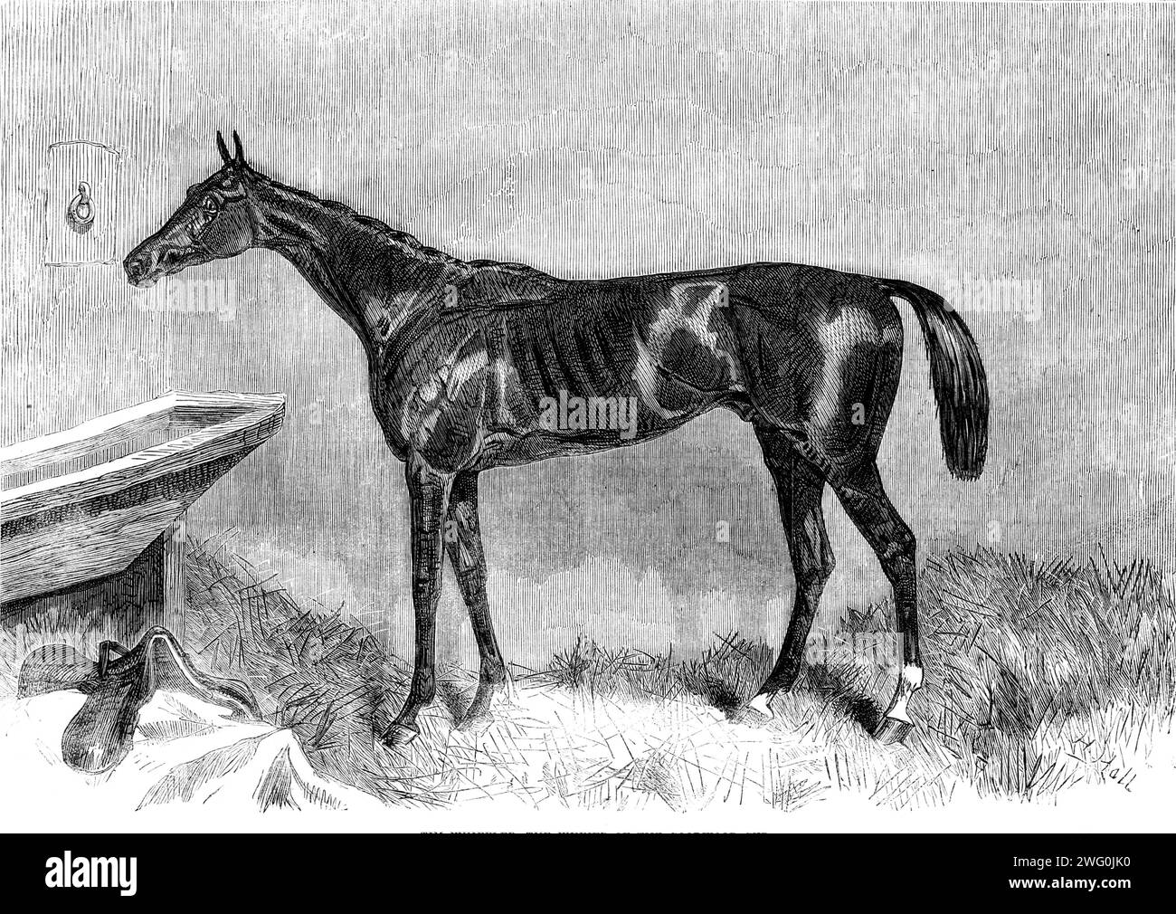 Goodwood Races: Tim Whiffler, Sieger des Goodwood Cup 1862. Die frühe ...