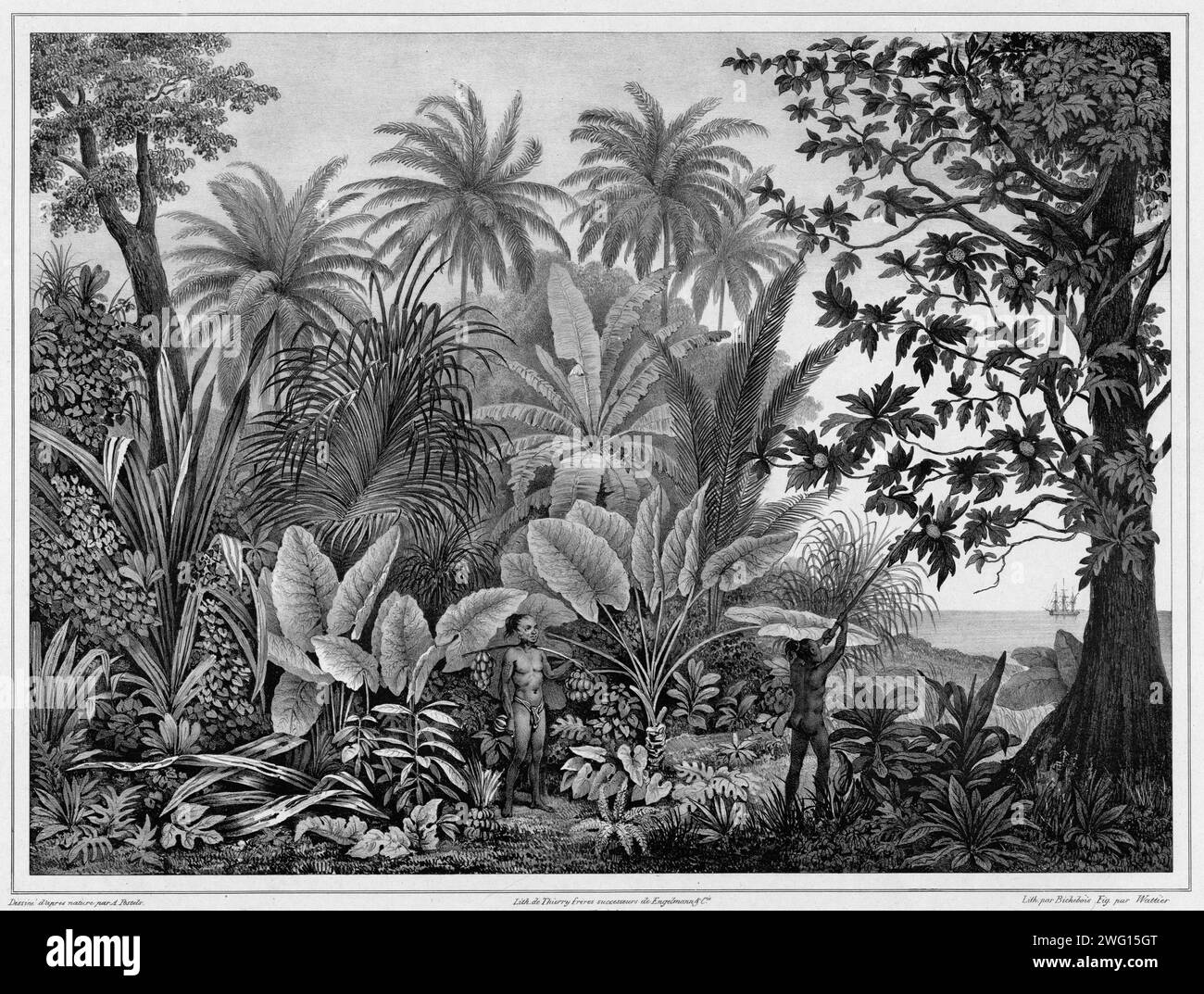 Blick auf Lukunor Island, Lower Caroline Islands, 19. Jahrhundert. Eine ...