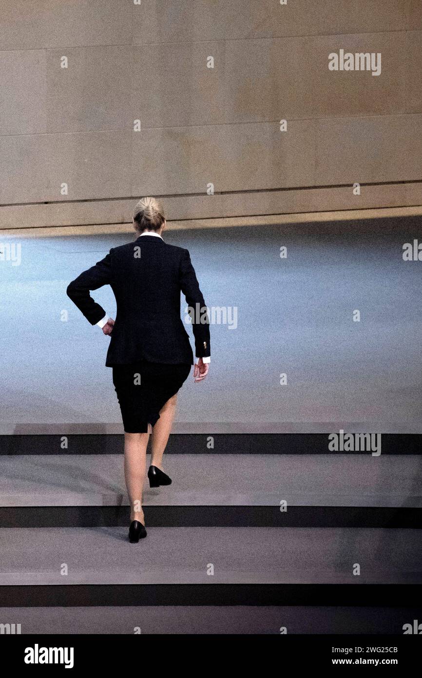 Alice Weidel - Bundestag DEU, Deutschland, Deutschland, Berlin, 31.01. ...