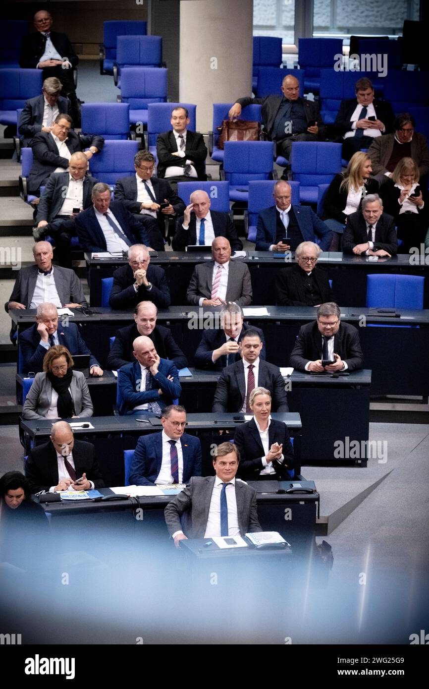 AFD Bundestag DEU, Deutschland, Deutschland, Berlin, 31.01.2024 Fraktion der AfD mit ...