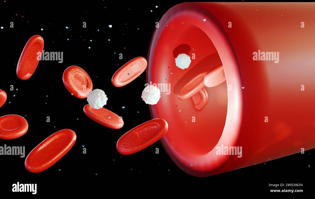 3D-Rendering von Elliptozyten, auch als Ovalozyten oder Zigarrenzellen ...