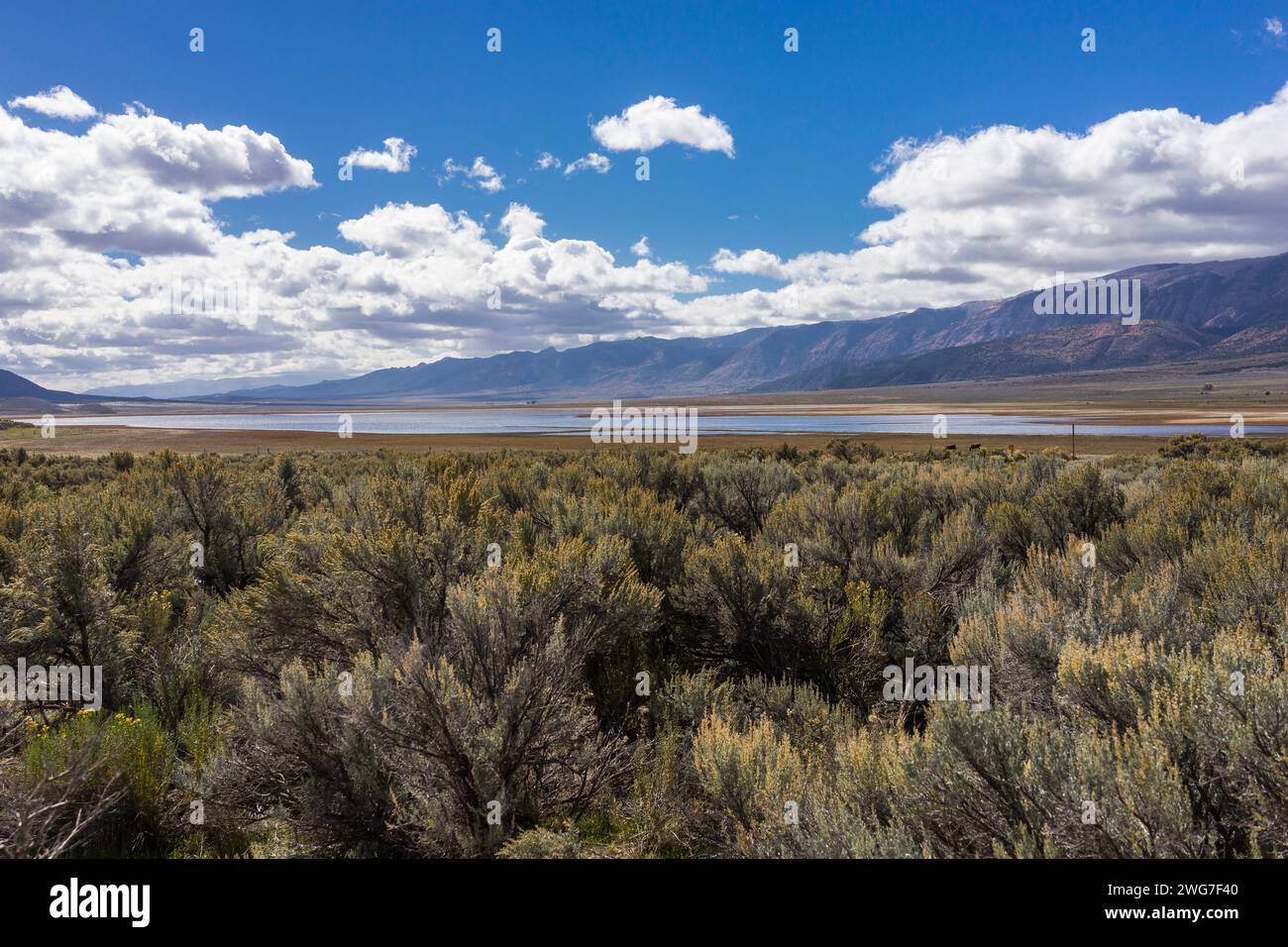 Scipio see -Fotos und -Bildmaterial in hoher Auflösung – Alamy