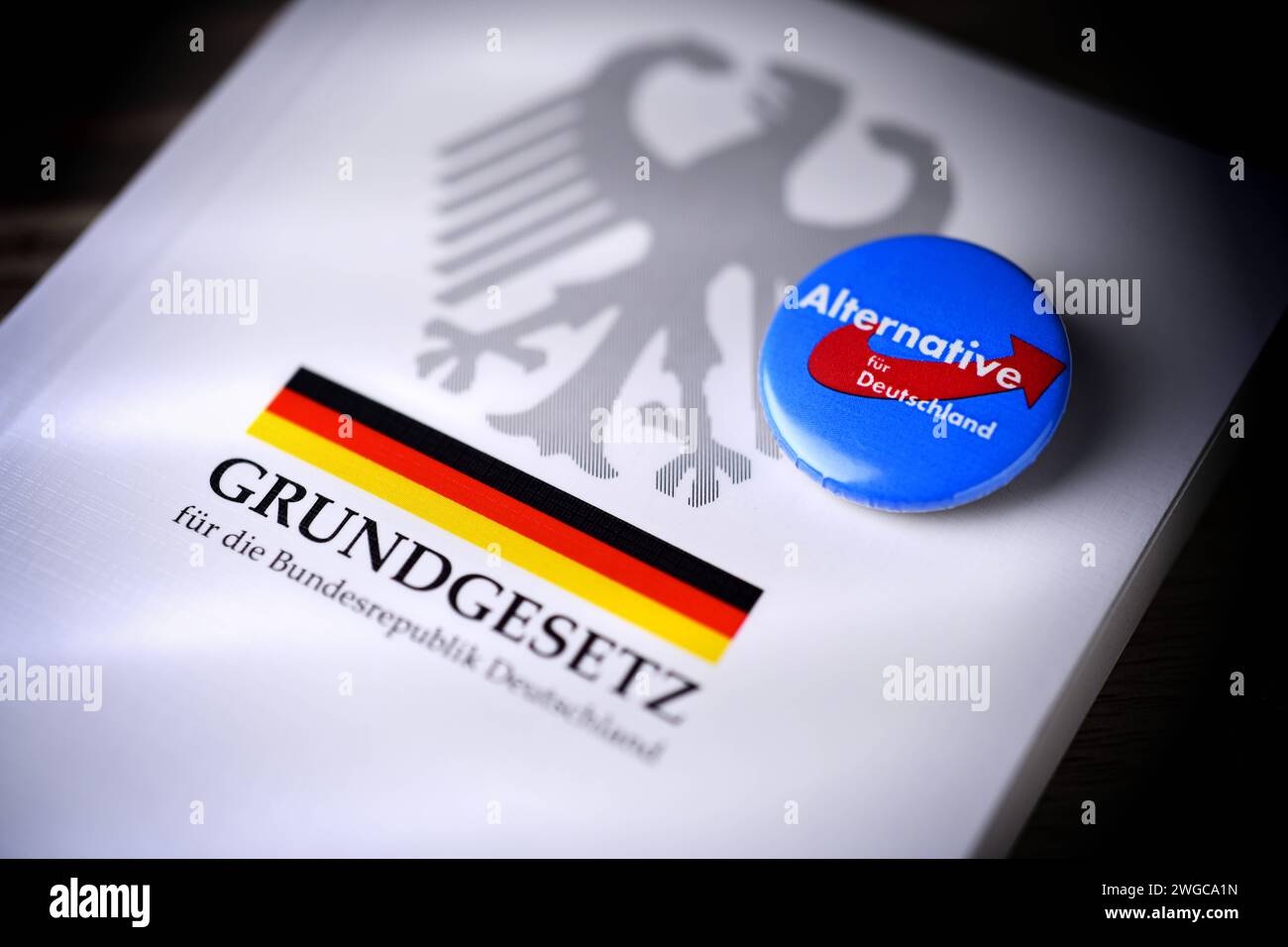 Parteianstecker der AfD auf dem deutschen Grundgesetz, Symbolfoto für ...