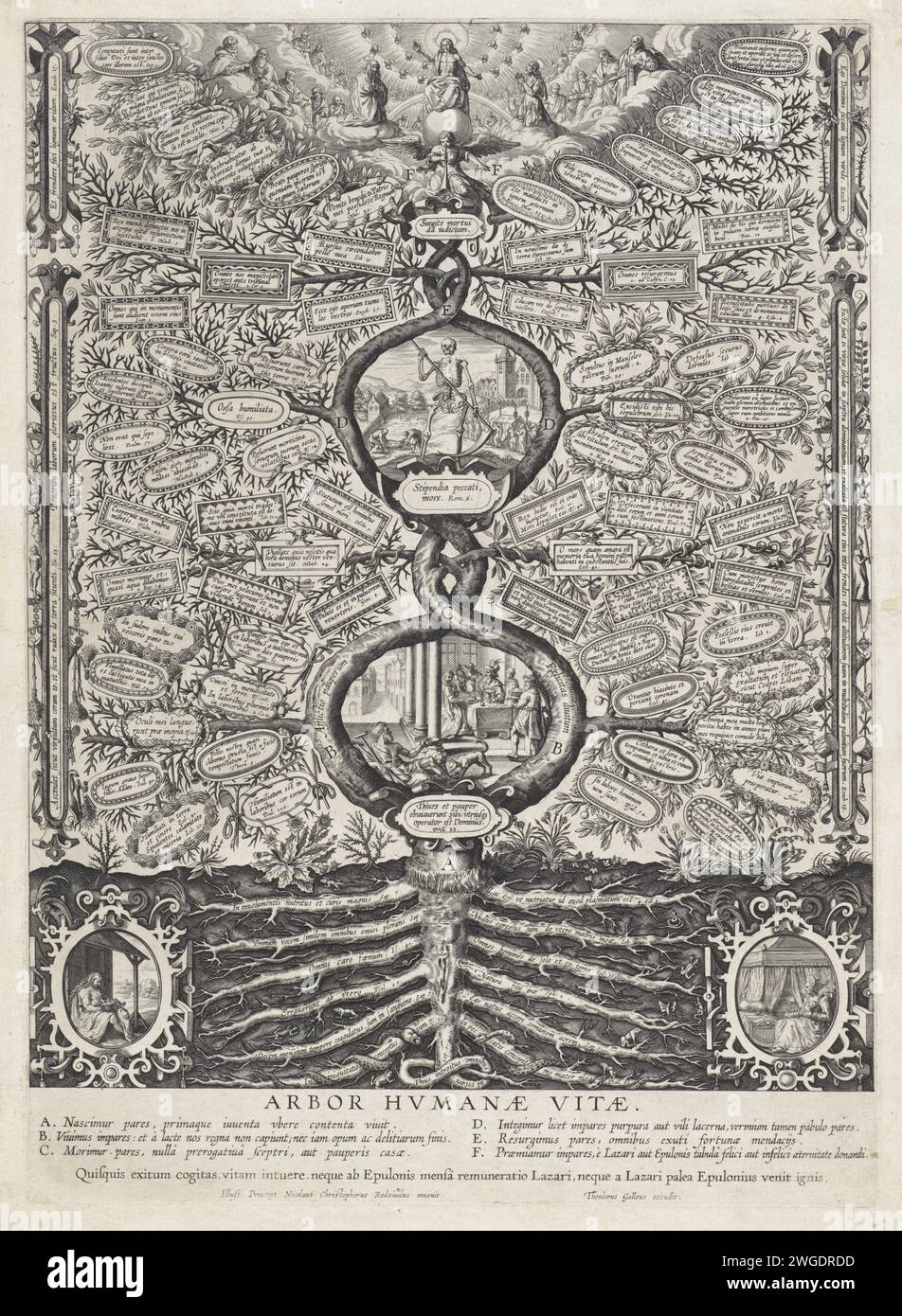 Baum des Lebens, anonym, nach Nicolaus Christophorus Radzivilus, 1595 ...