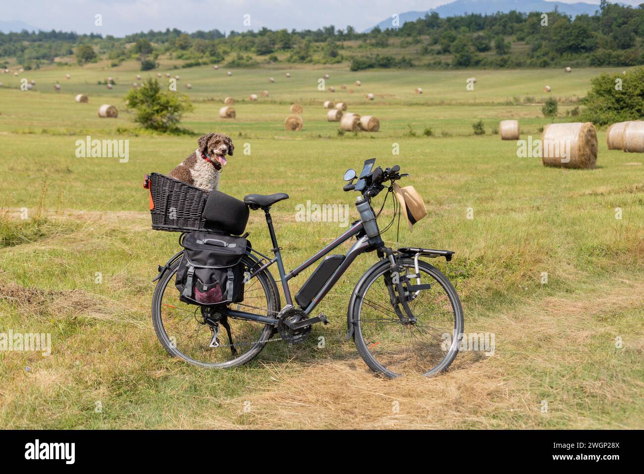 E bike packtaschen -Fotos und -Bildmaterial in hoher Auflösung – Alamy