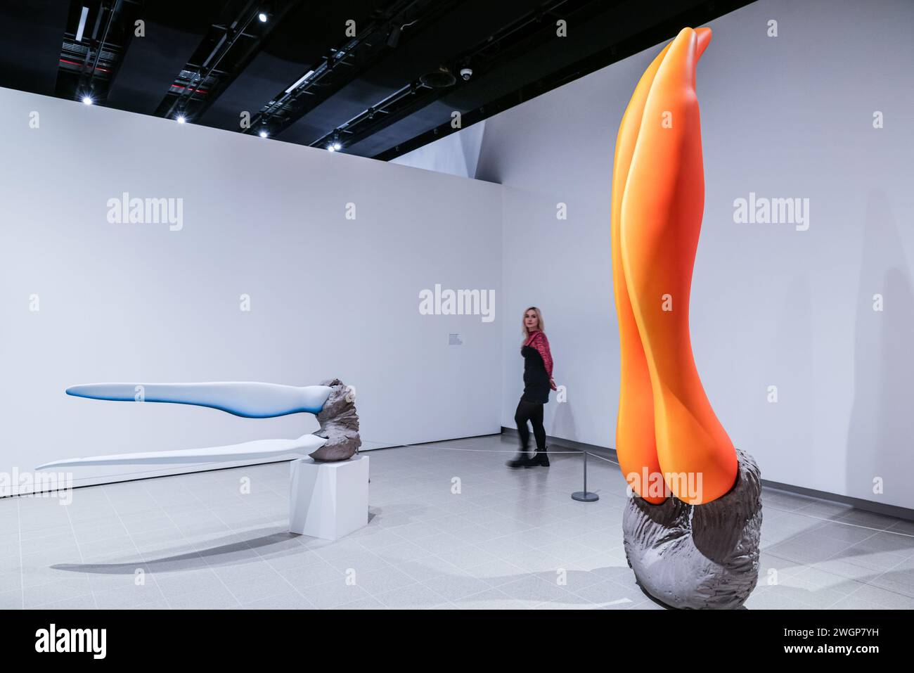 London, Großbritannien. Februar 2024. Eine Freiwillige bei Teresa Solar ...