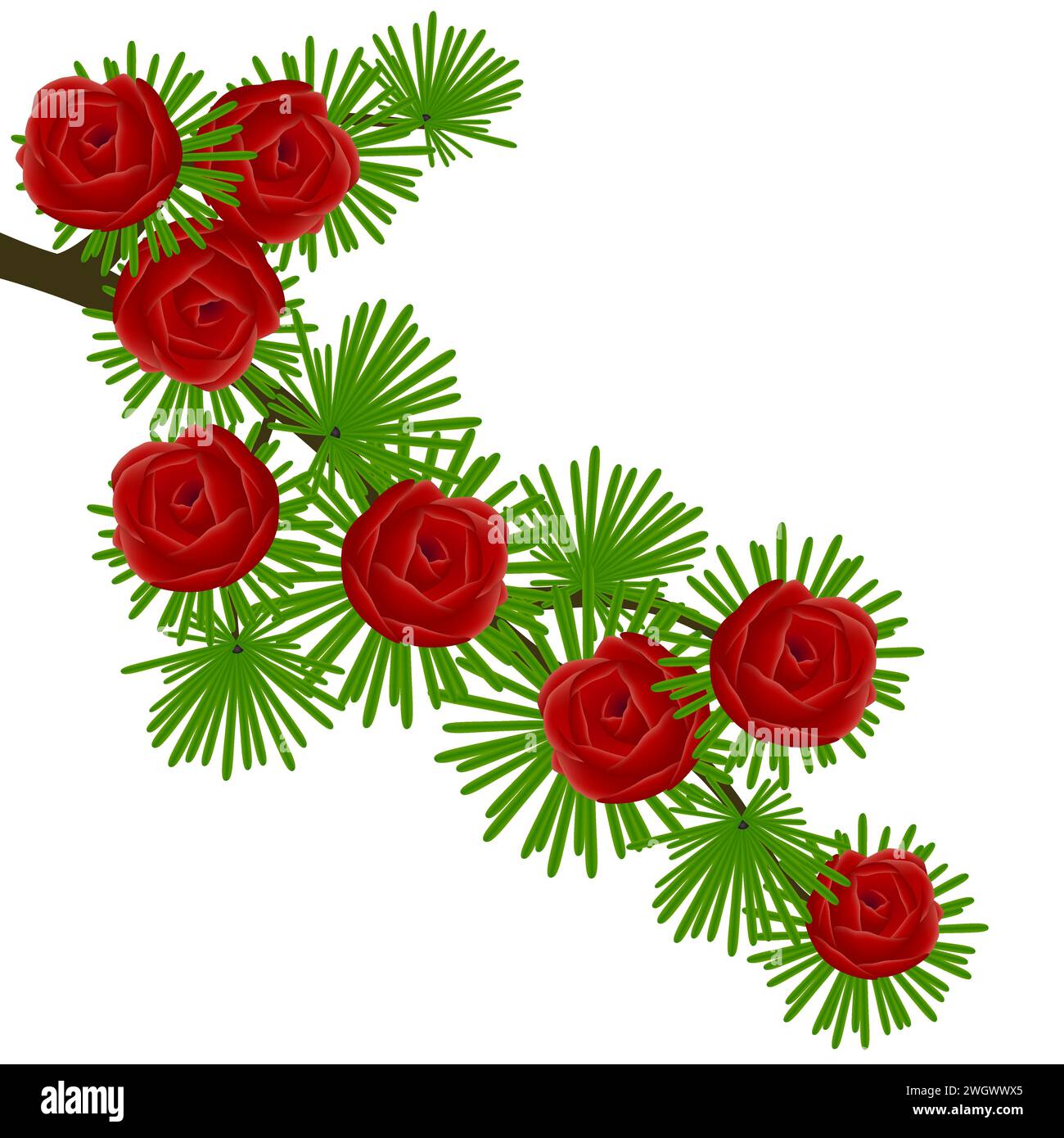 Red larch Stock-Vektorgrafiken kaufen - Alamy