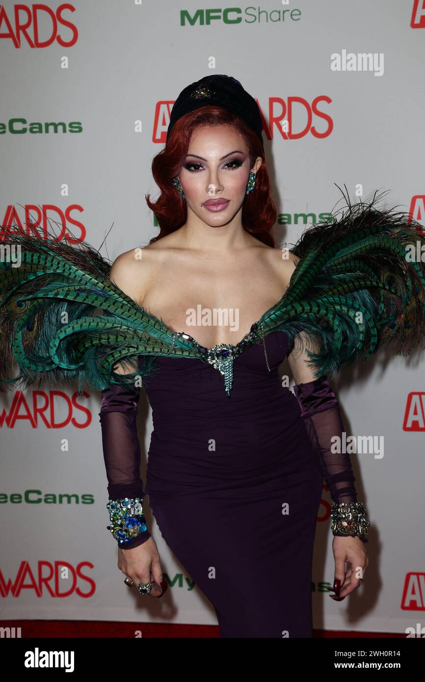 LAS VEGAS, NV - USA, 28. JANUAR 2024. Ariel Demure on the Red Carpet für die Adult Video News ...