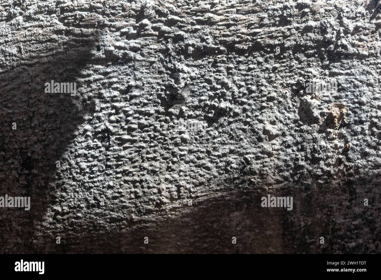 Dieses Bild zeigt die komplizierten Details und Texturen einer rauen ...