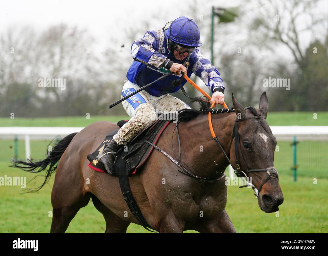 Roccovango wurde von Sean Bowen auf dem Weg zum zweiten Platz in der ...