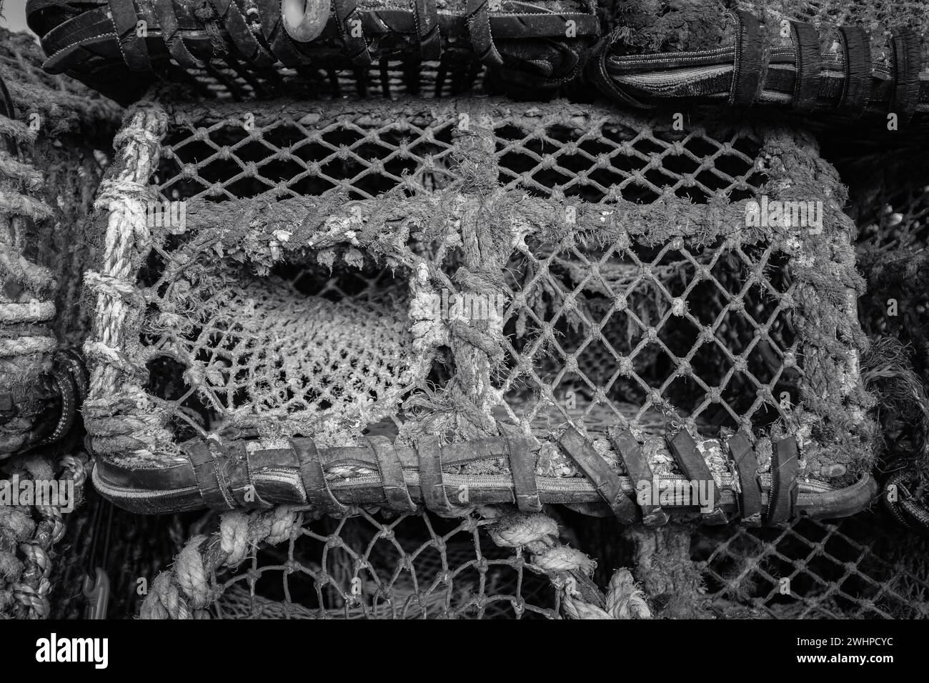 Crayfish net pot -Fotos und -Bildmaterial in hoher Auflösung – Alamy