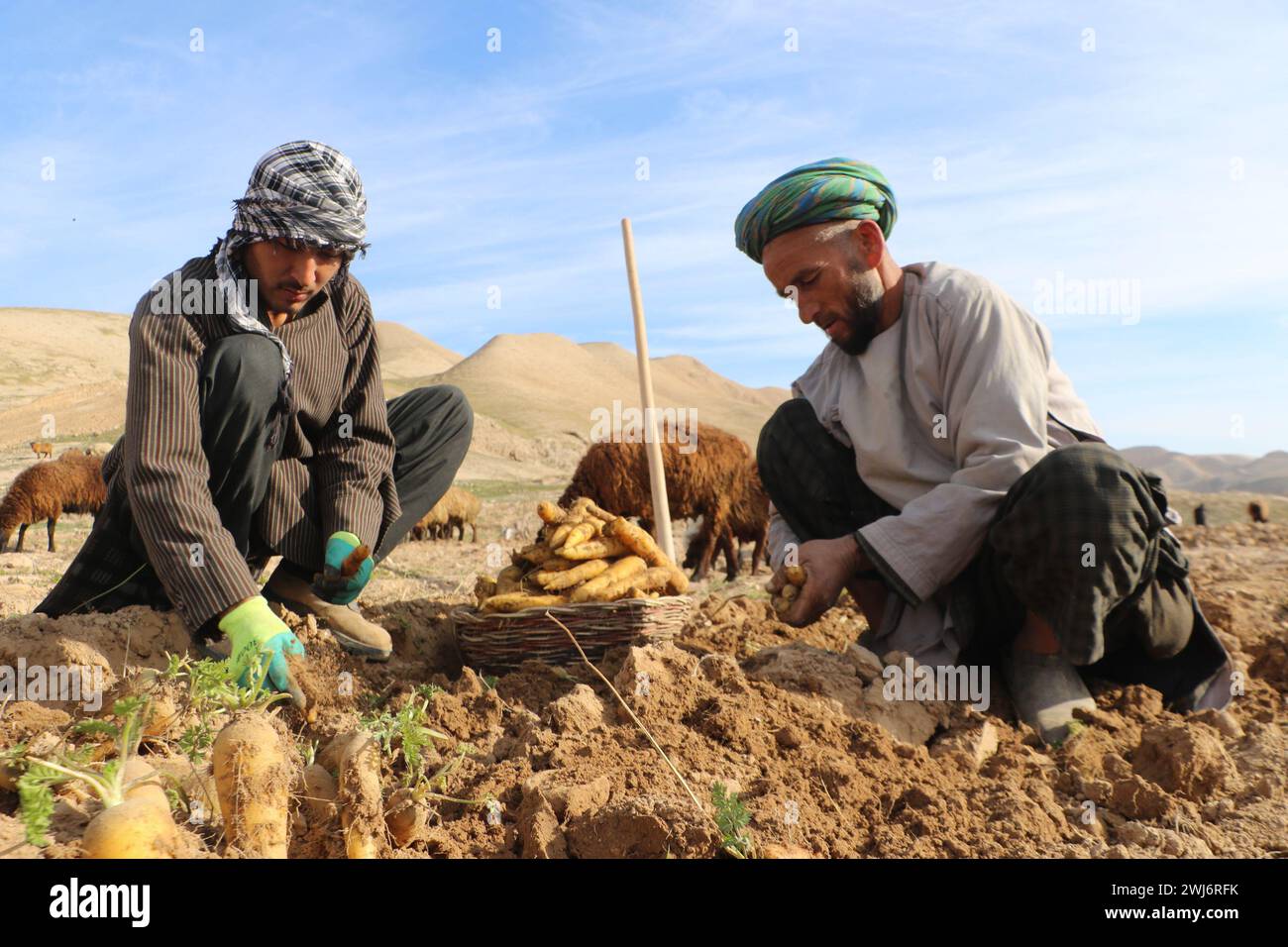 Afghan farmers -Fotos und -Bildmaterial in hoher Auflösung – Alamy