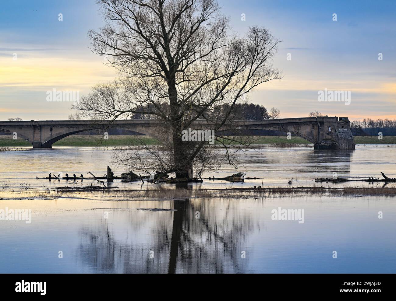Weltprognose 2024 -Fotos und -Bildmaterial in hoher Auflösung – Alamy