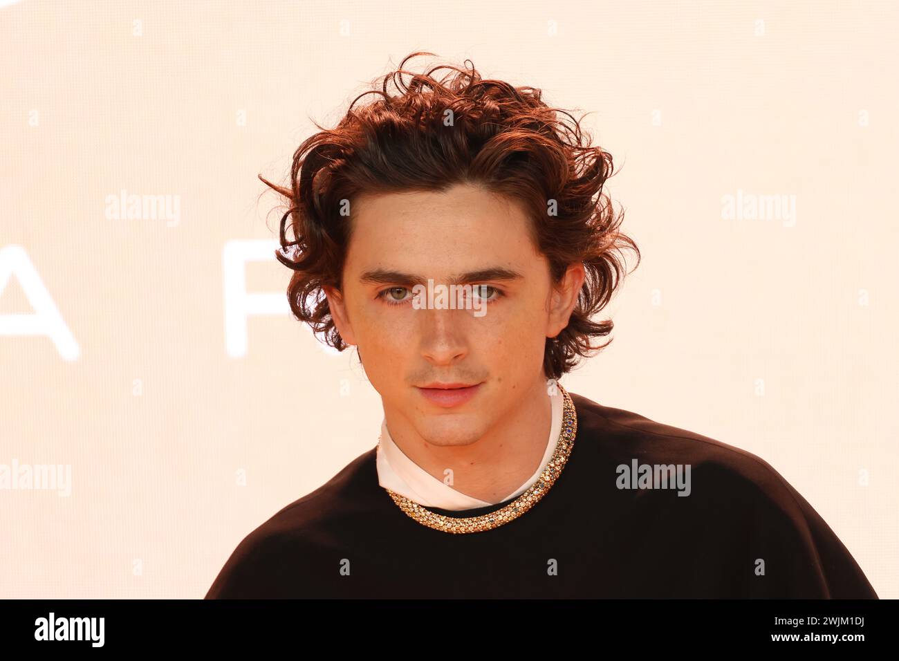 Timothee Chalamet, Warner Bros. Pictures & Legendary Present the World ...