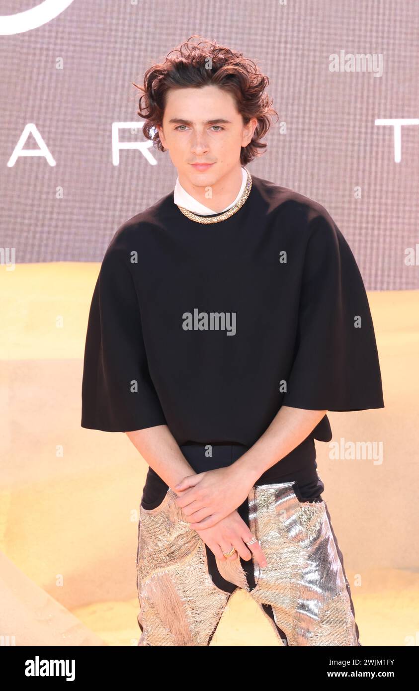 Timothee Chalamet, Warner Bros. Pictures & Legendary Present the World ...