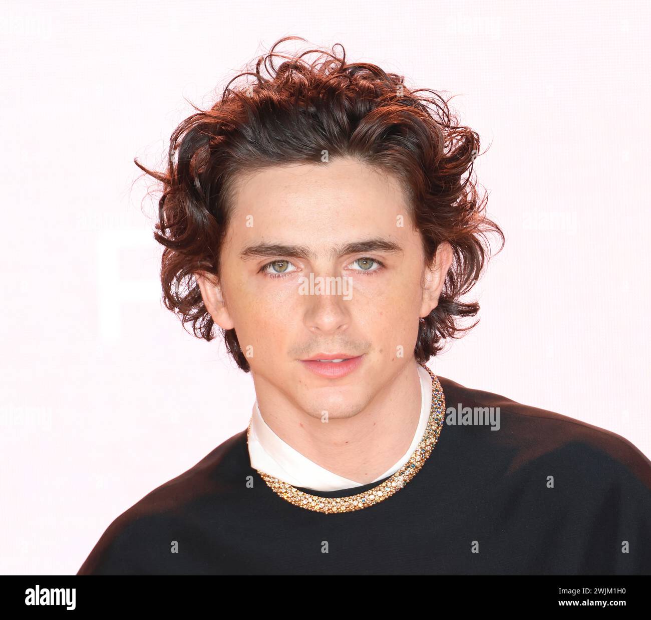Timothee Chalamet, Warner Bros. Pictures & Legendary Present the World ...