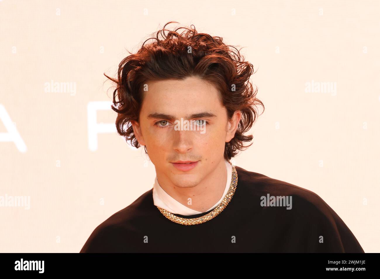 Timothee Chalamet, Warner Bros. Pictures & Legendary Present the World ...