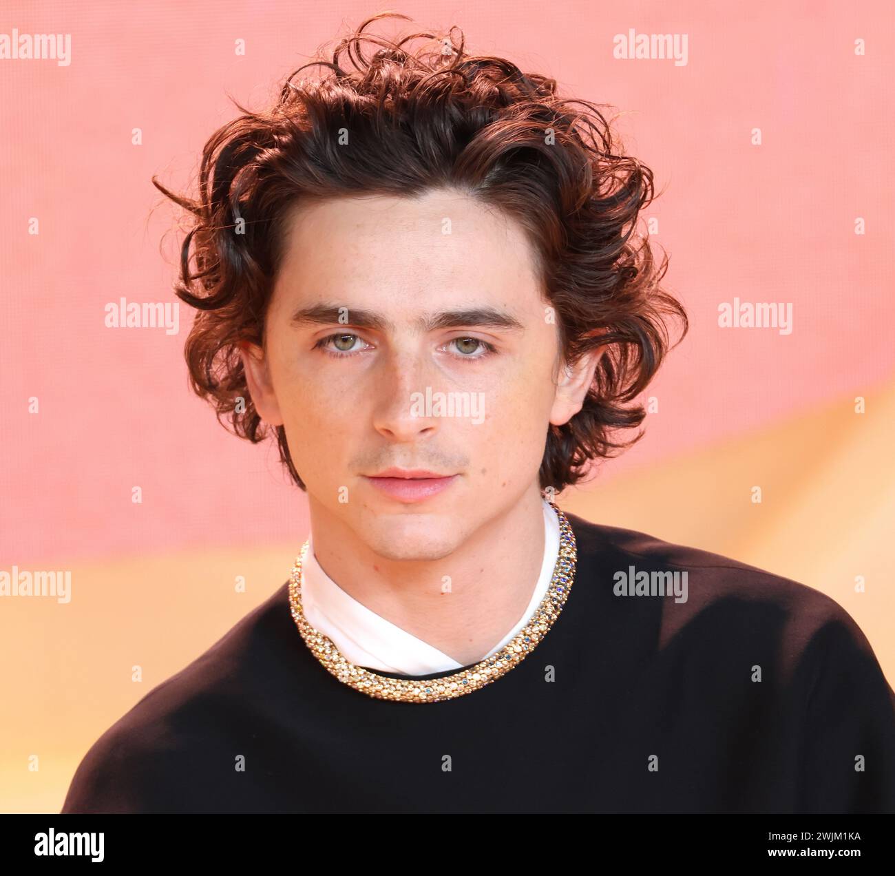 Timothee Chalamet, Warner Bros. Pictures & Legendary Present the World ...