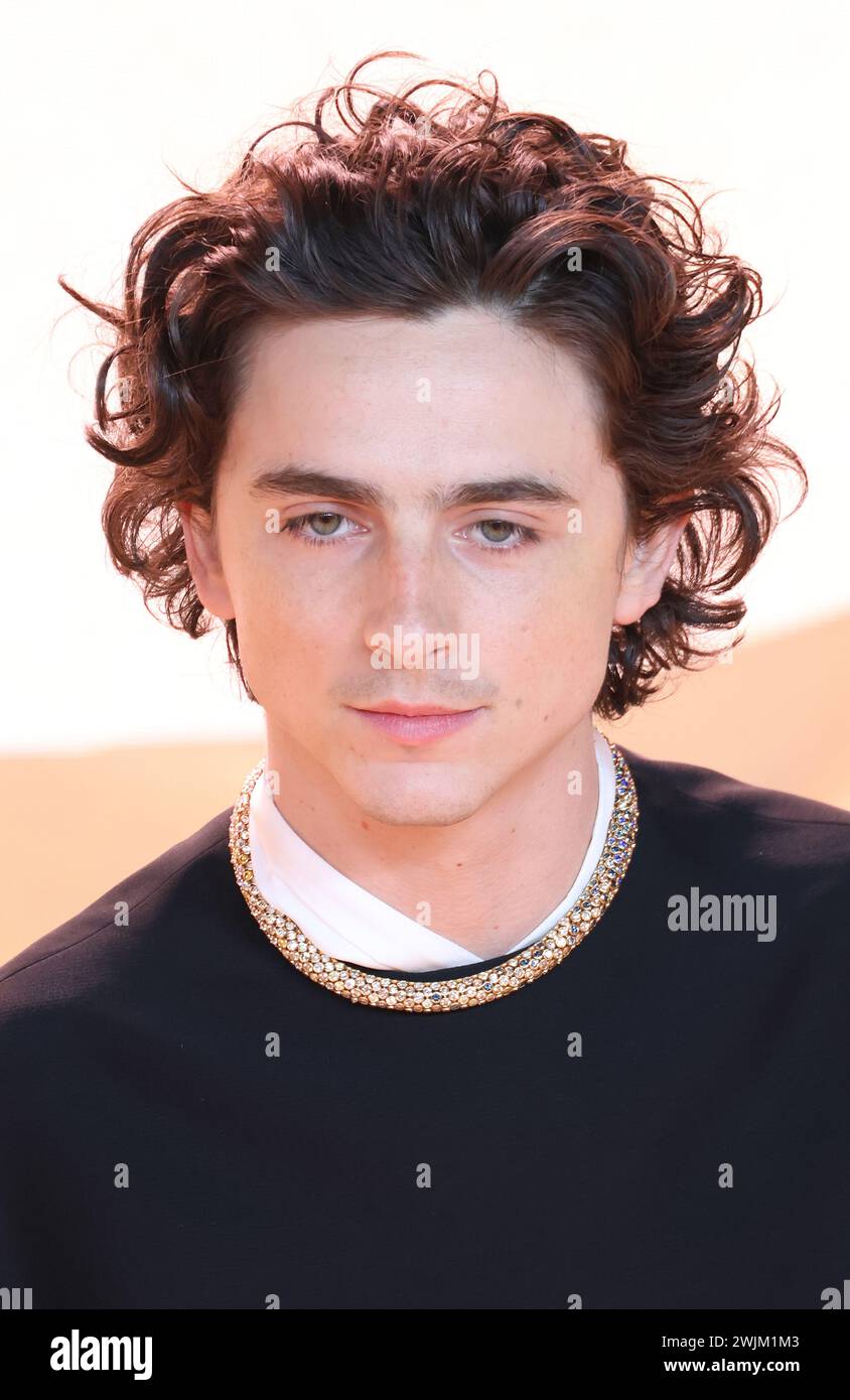 Timothee Chalamet, Warner Bros. Pictures & Legendary Present the World ...