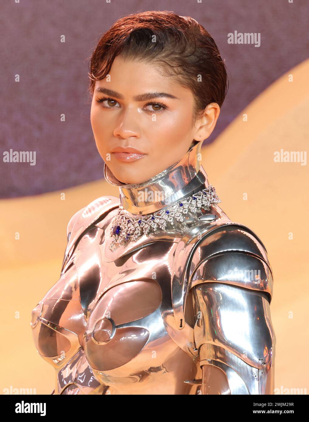 Zendaya, Warner Bros Pictures & Legendary Present the World Premiere of ...