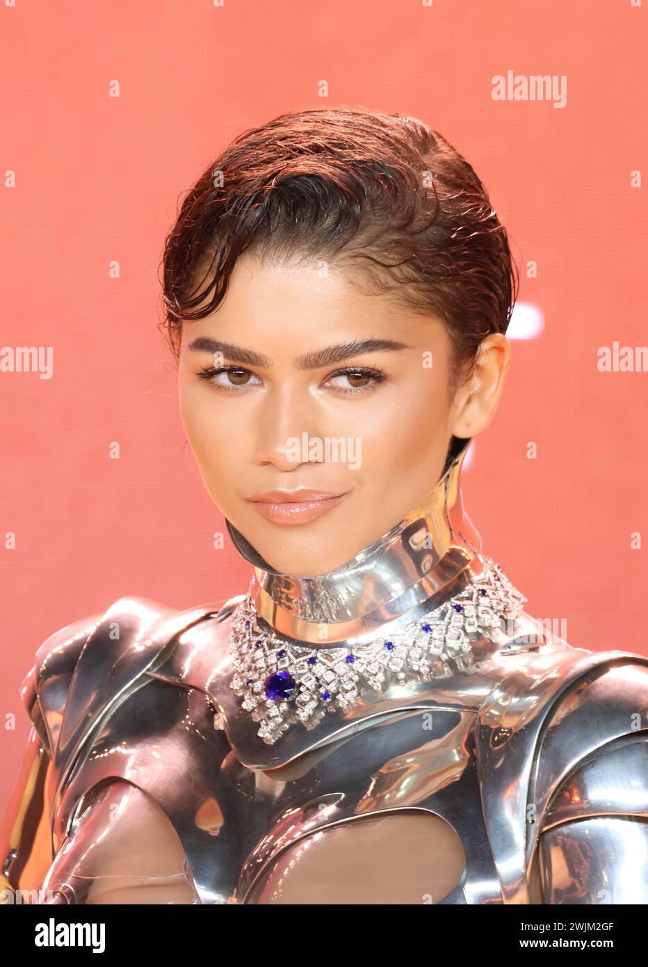 Zendaya, Warner Bros Pictures & Legendary Present the World Premiere of ...