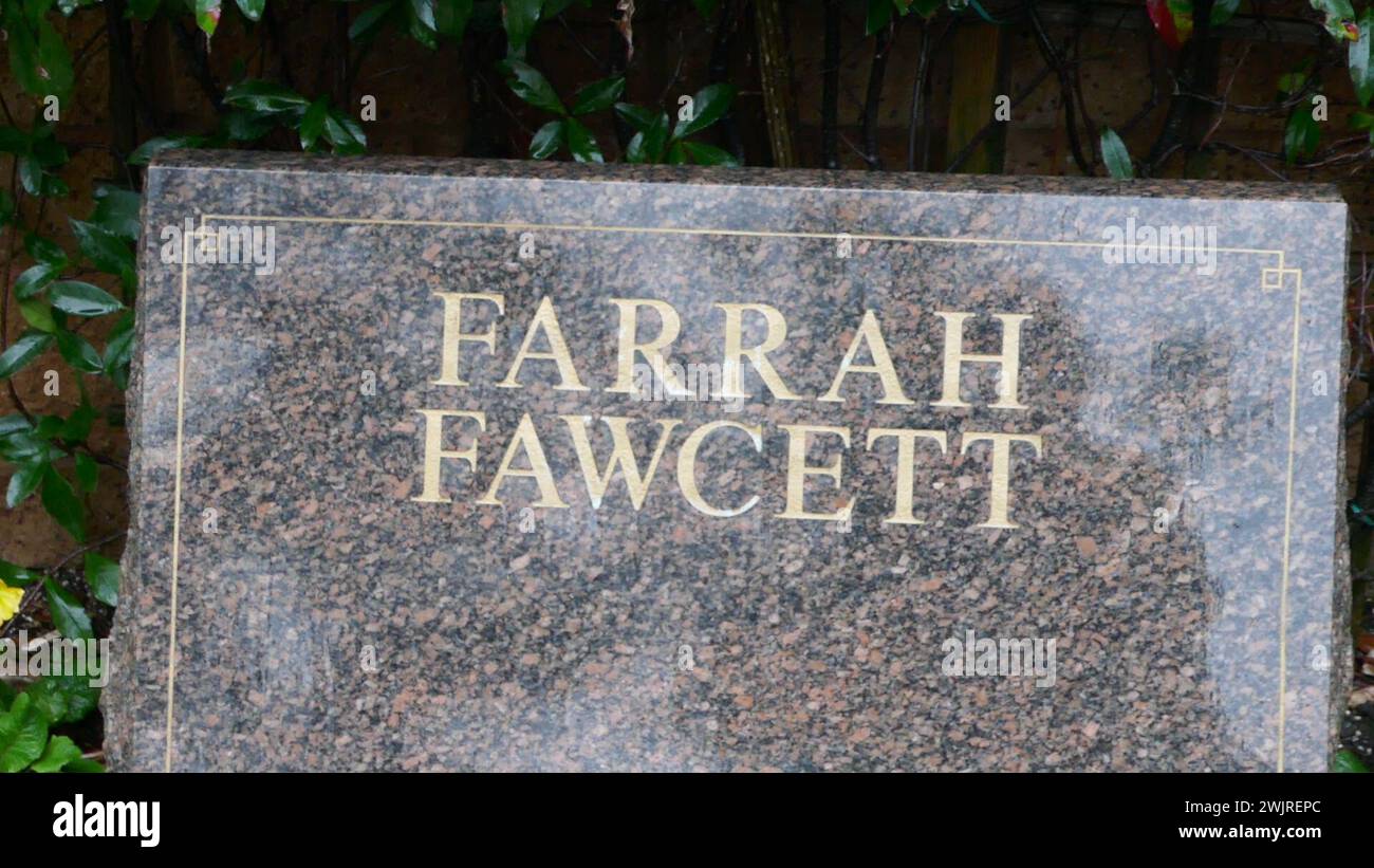 Februar 2024 Schauspielerin Farrah Fawcett und Schauspieler Ryan OÕNeal Graves im Pierce ...