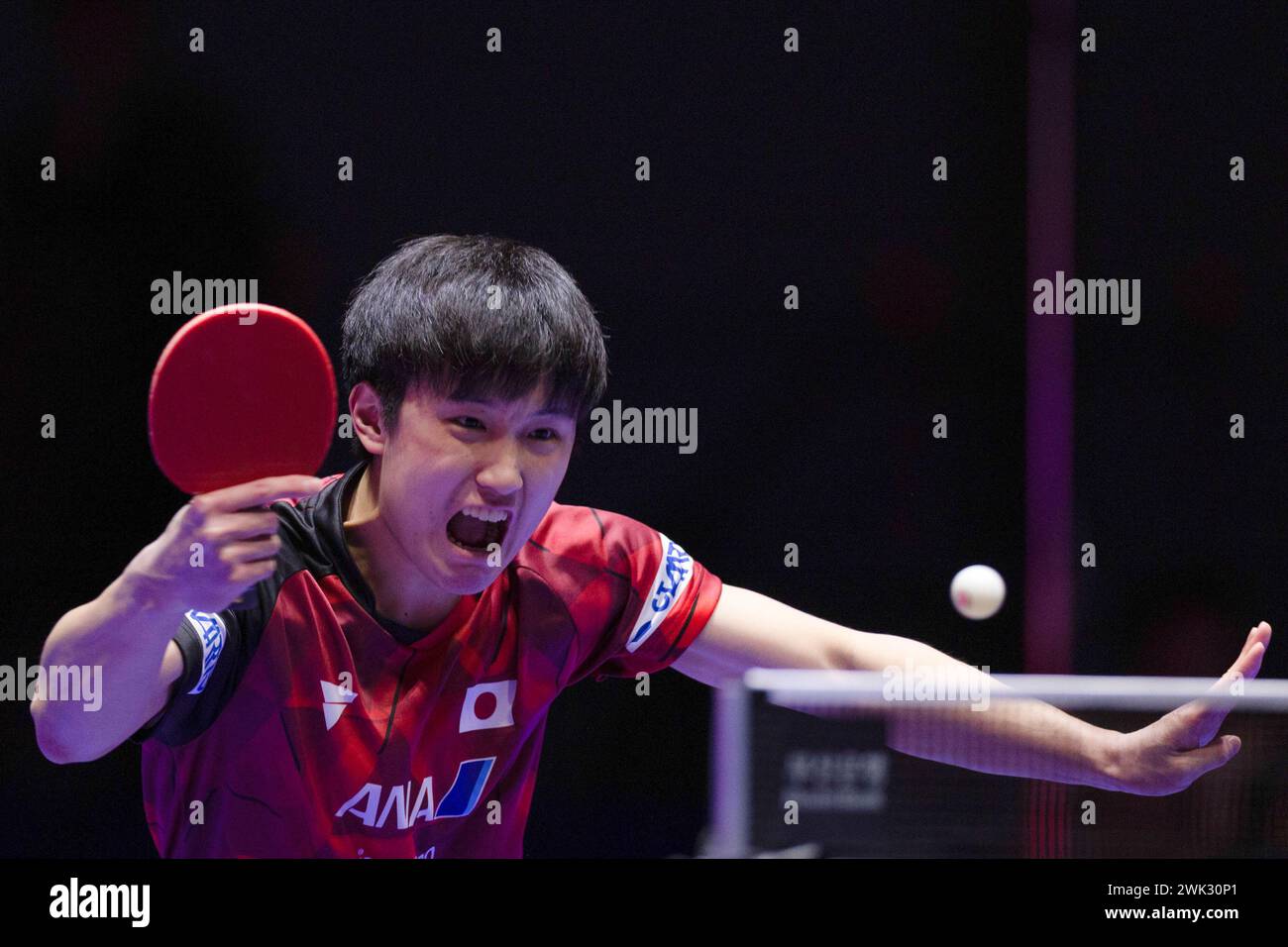 Busan, Südkorea. Februar 2024. Harimoto Tomokazu aus Japan trifft beim ...