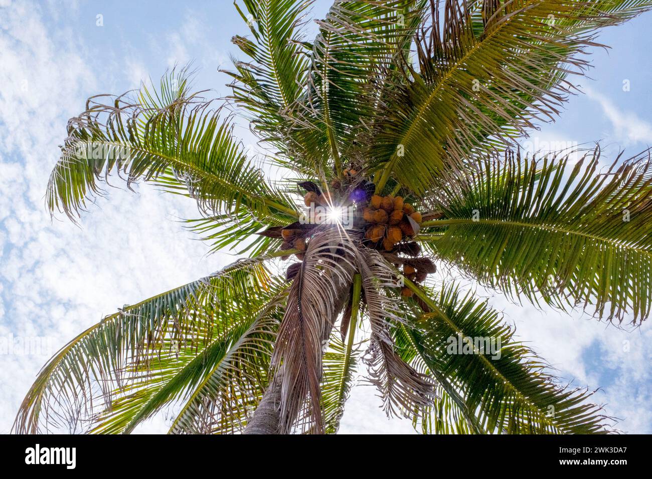 Sonne strand -Fotos und -Bildmaterial in hoher Auflösung – Alamy