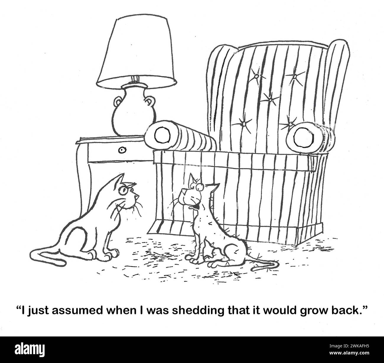 BW Cartoon von zwei Katzen, eine hat sein Fell verloren, obwohl sie ...