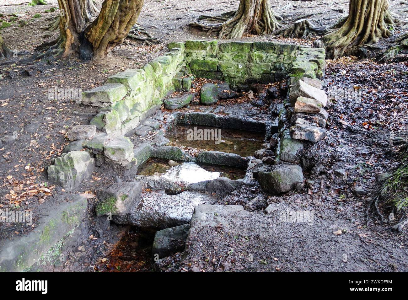 Sacred spring -Fotos und -Bildmaterial in hoher Auflösung – Alamy