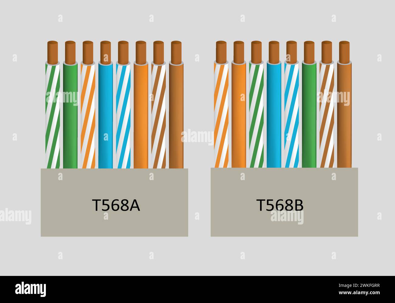 Rj45 kabel Stock-Vektorgrafiken kaufen - Alamy