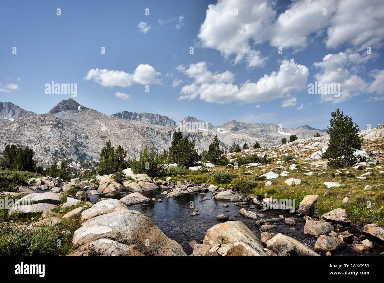 Verbinden sie sich wieder mit der wildnis -Fotos und -Bildmaterial in ...