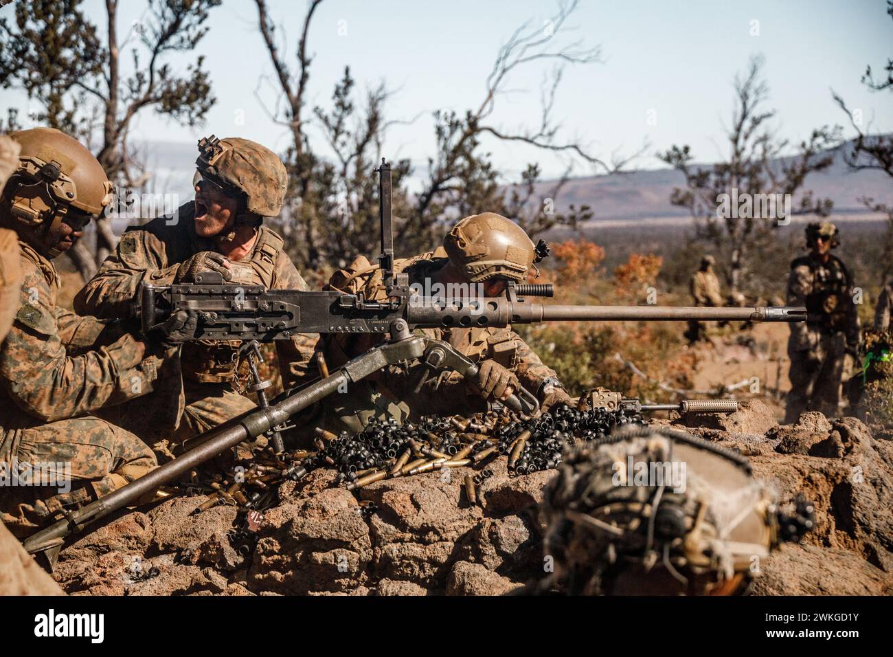 US-Marines mit 3d Littoral Combat Team, 3d Marine Littoral Regiment, 3d Marine Division, feuern ...