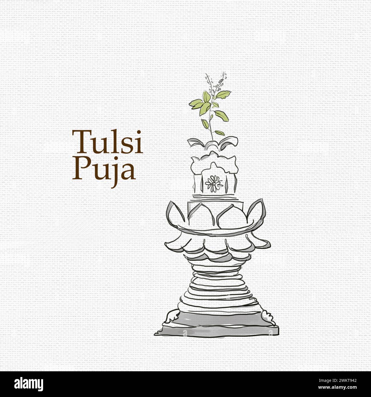 Disegno della pianta di tulsi -Fotos und -Bildmaterial in hoher ...