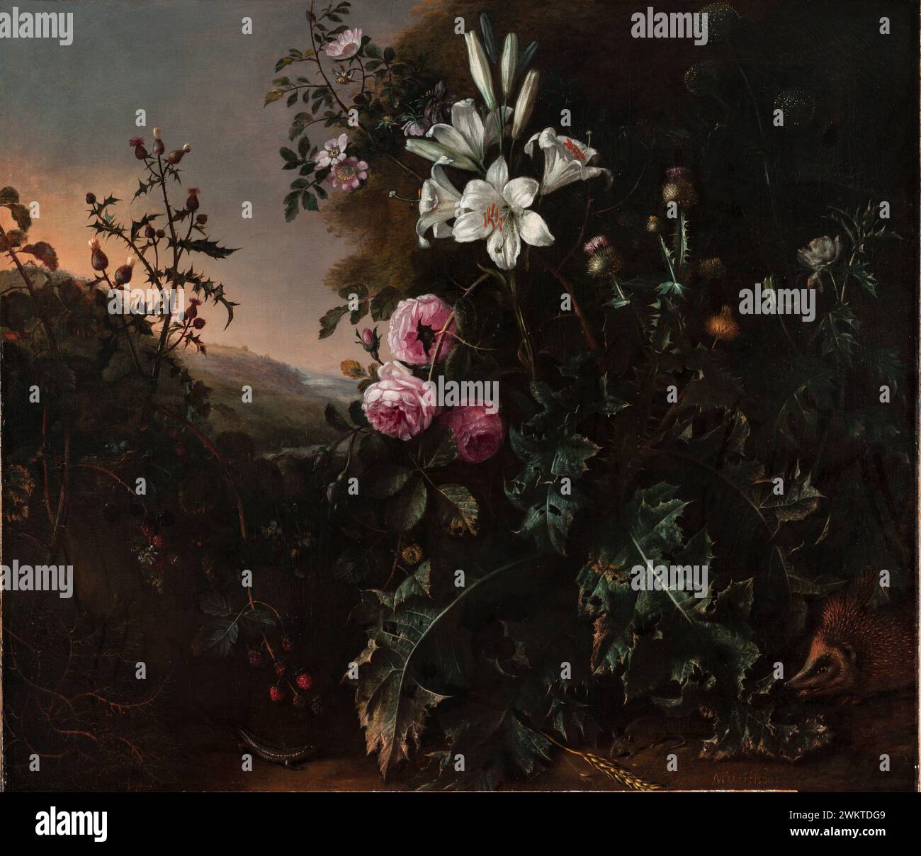 Matthias withoos -Fotos und -Bildmaterial in hoher Auflösung – Alamy