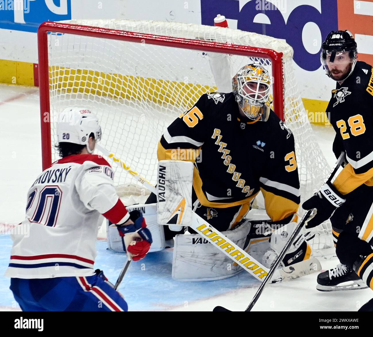 Pittsburgh, Usa. Februar 2024. Der Torwart Tristan Jarry (35) und ...