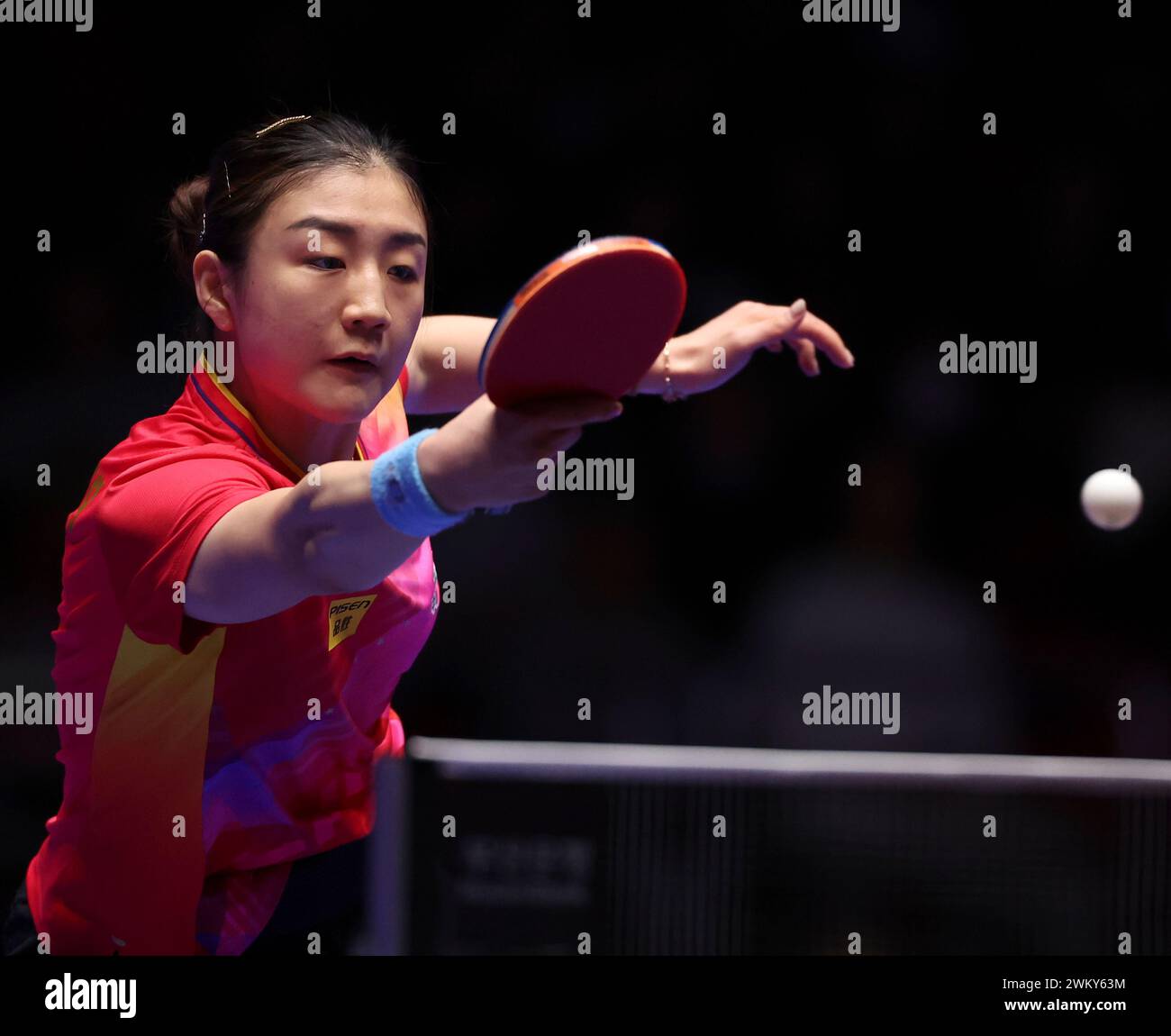 Busan, Sourh Korea. Februar 2024. Chen Meng aus China kehrt den Ball an Yuan Jia Nan aus ...