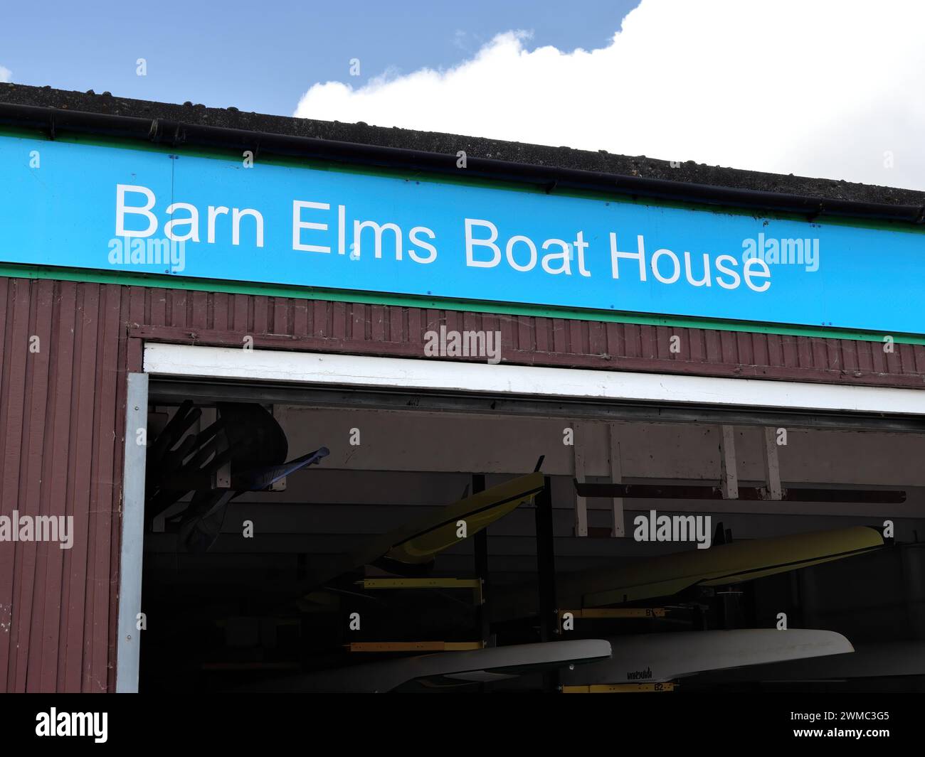 English elms -Fotos und -Bildmaterial in hoher Auflösung – Alamy