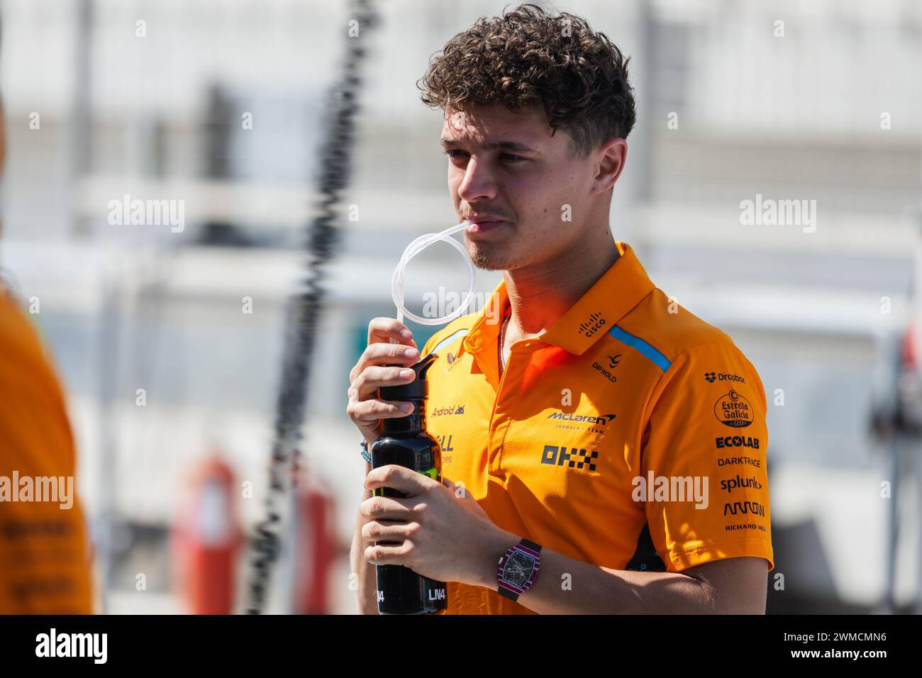 Fabelhafte Lando Norris Vermögen Bilder