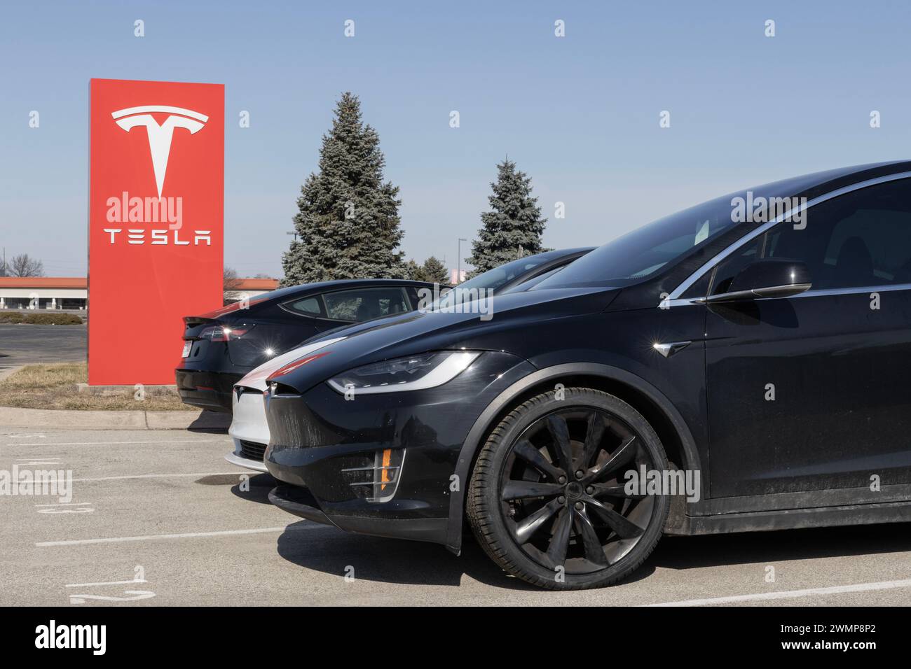 Indianapolis - 25. Februar 2024: Tesla EV Elektrofahrzeuge werden ...