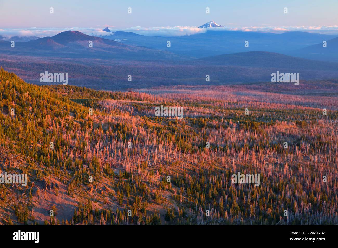 Blick auf Mt Jefferson von Tam McArthur Rim Trail, Drei Schwestern ...