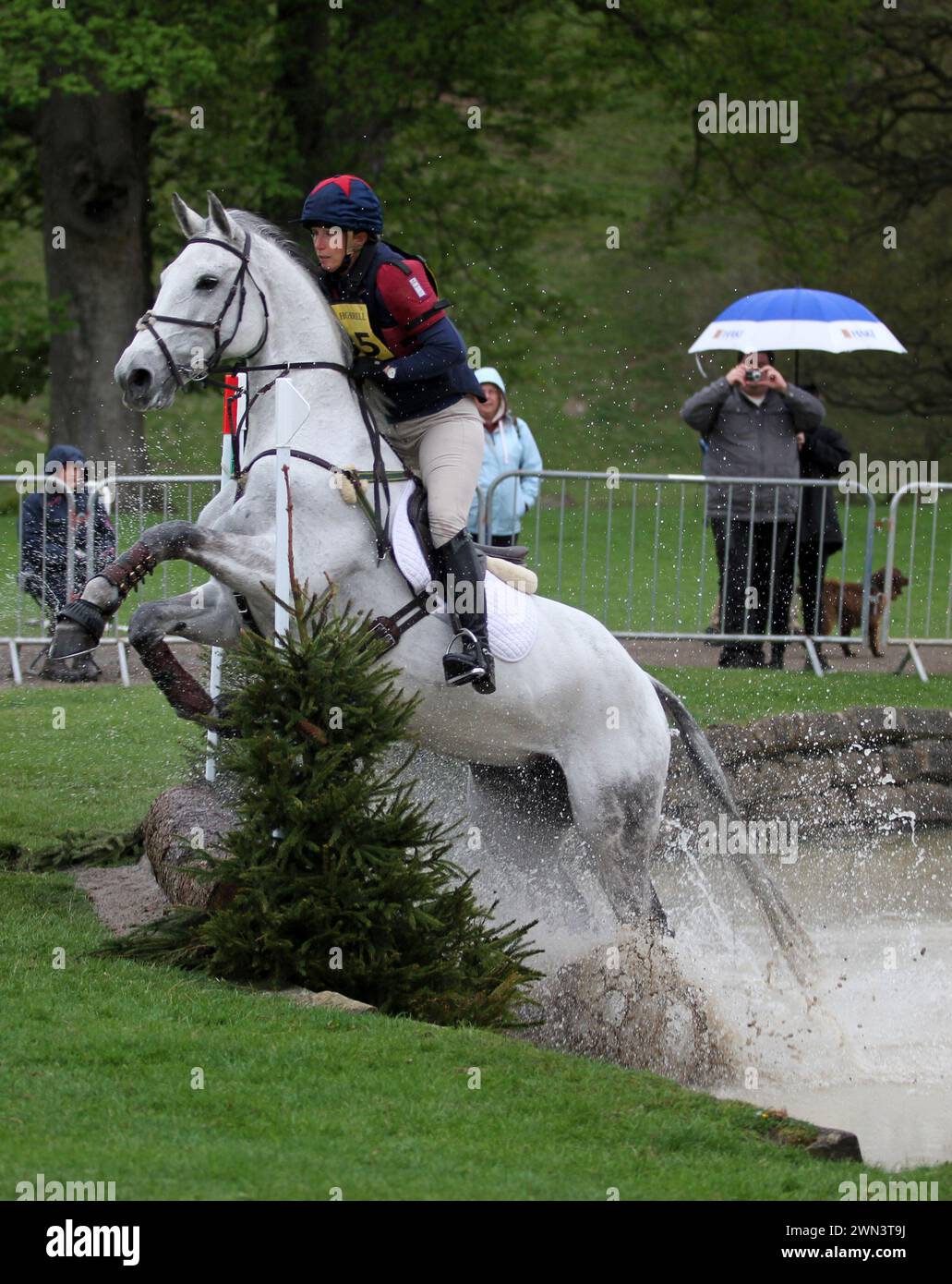 Internationale pferde -Fotos und -Bildmaterial in hoher Auflösung – Alamy