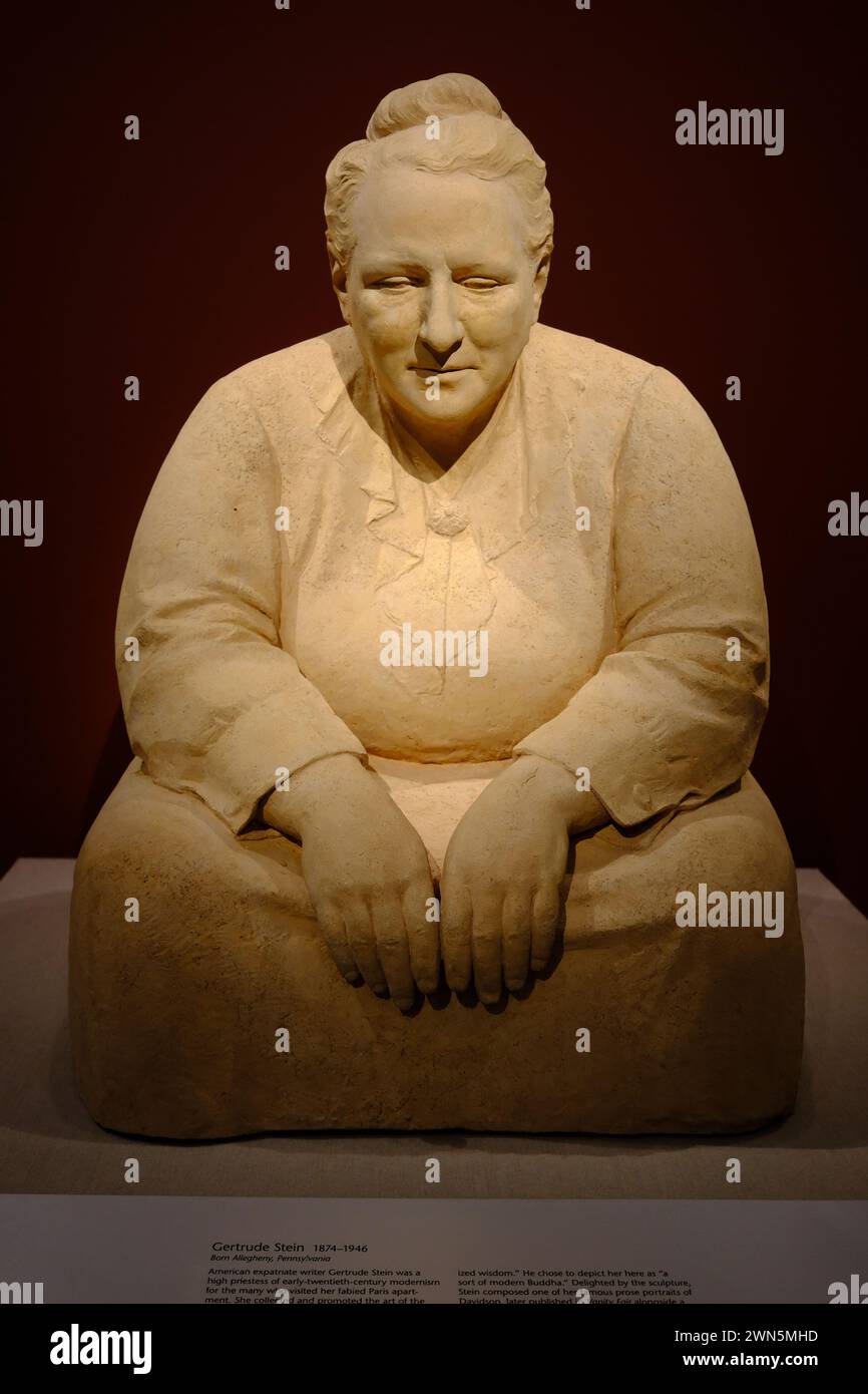 Eine behinderte weibliche Besucherin im Rollstuhl, die sich die ...