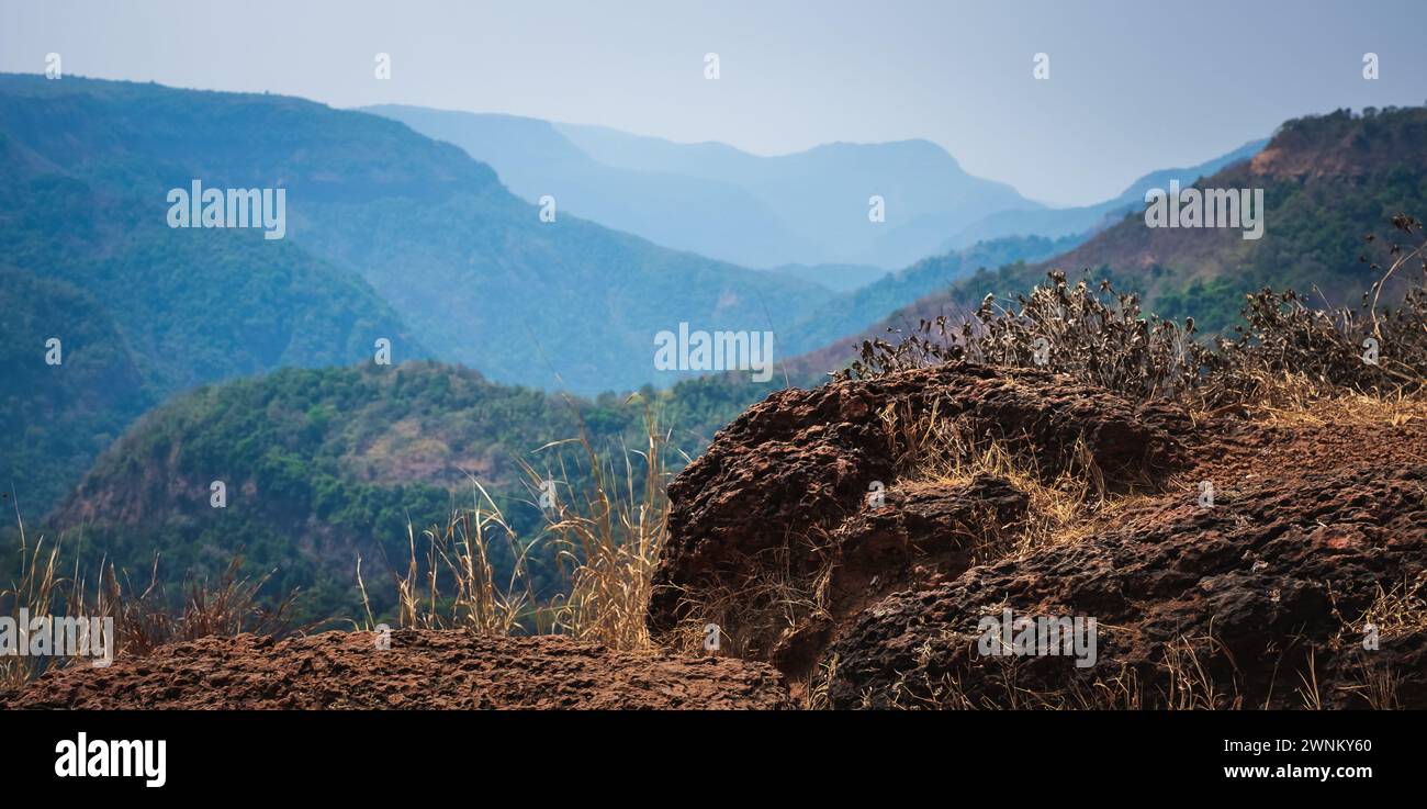 India western ghats forest -Fotos und -Bildmaterial in hoher Auflösung ...