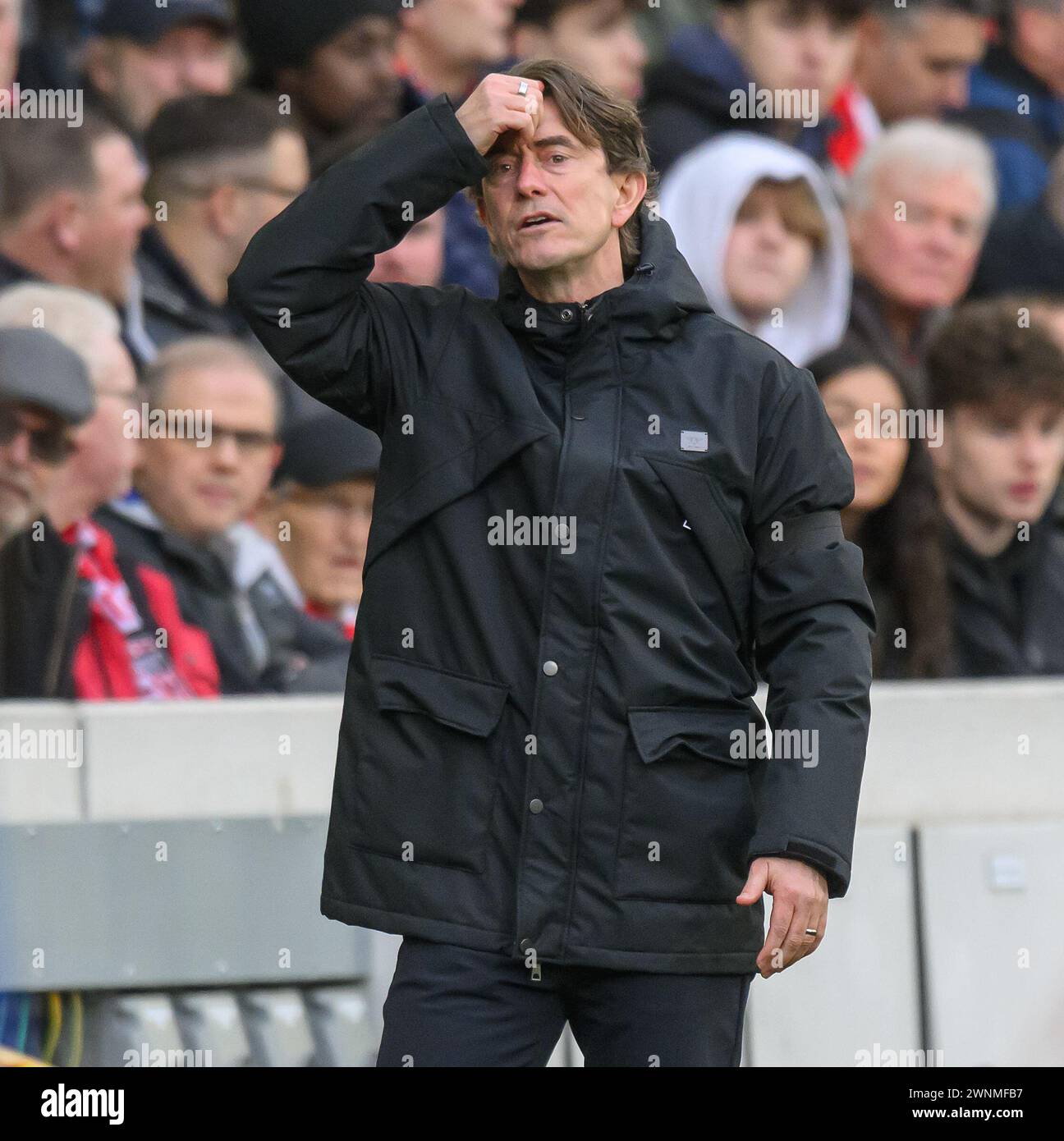 Thomas frank 2024 -Fotos und -Bildmaterial in hoher Auflösung – Alamy