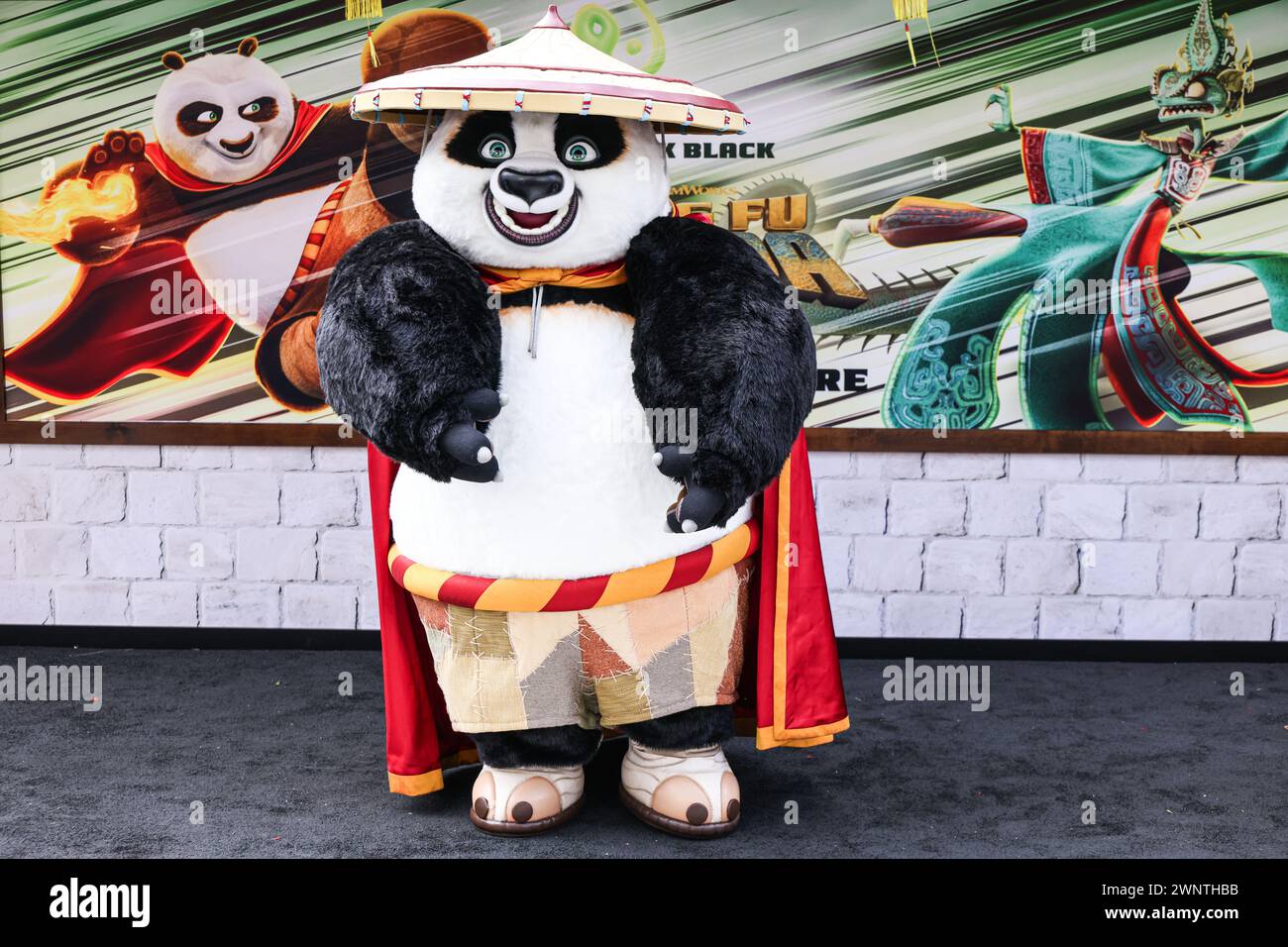 Erstaunlich Kostüm Kung Fu Panda Ebenbild