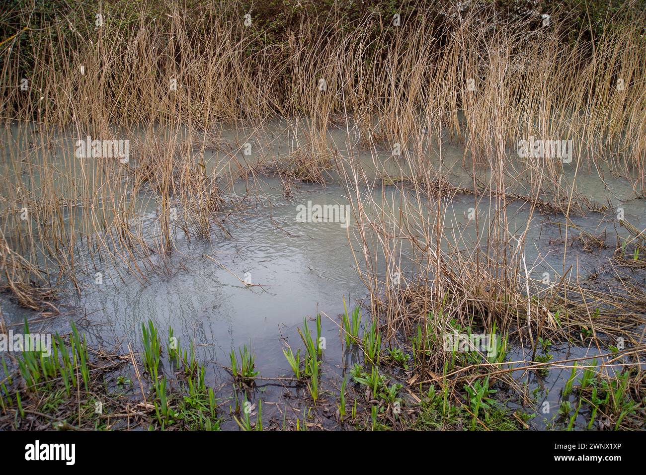Slough, Großbritannien. März 2024. Die Thames Water leiten Abwässer aus ...