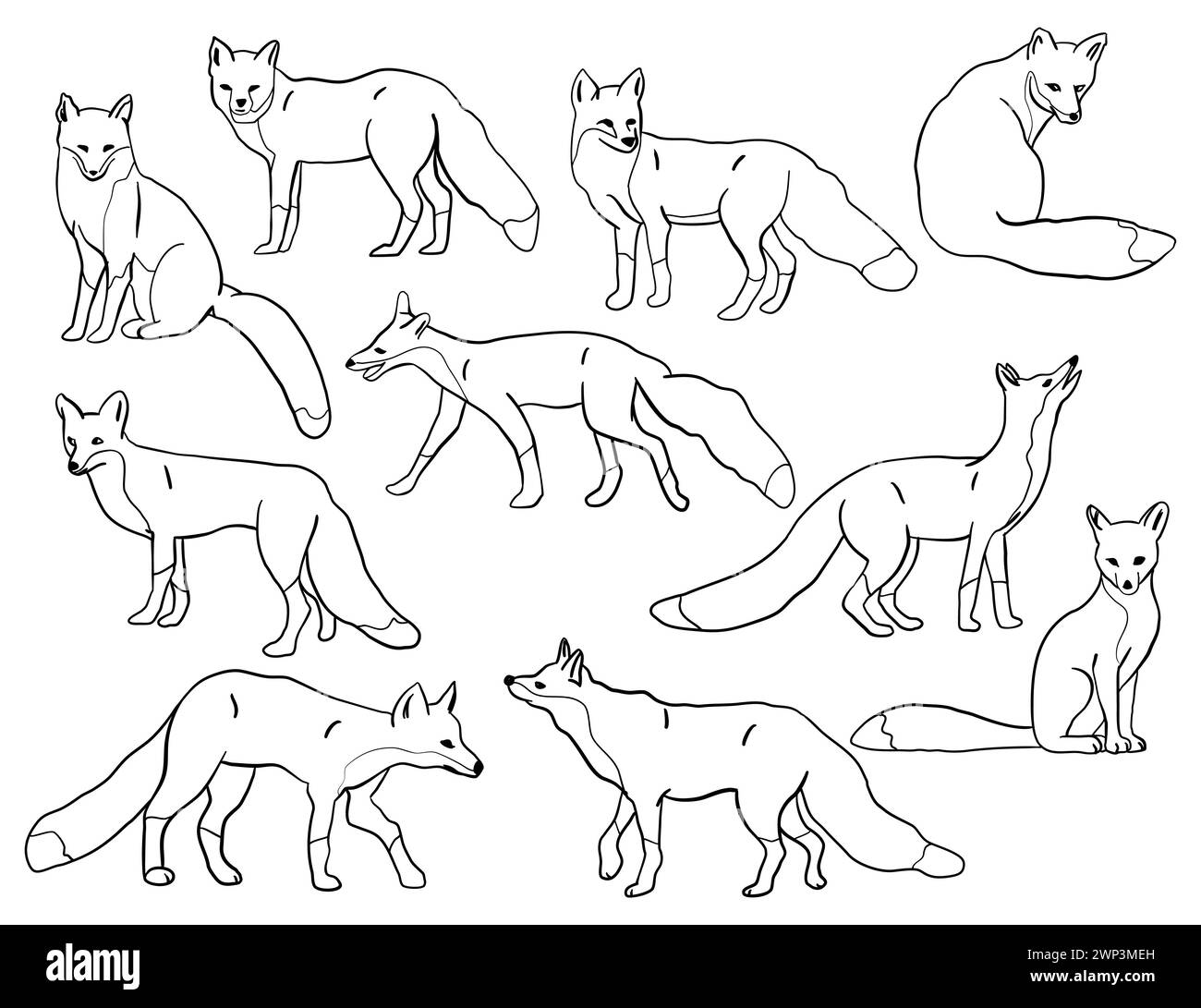 Schwarzer umriss silhouette fuchs -Fotos und -Bildmaterial in hoher ...