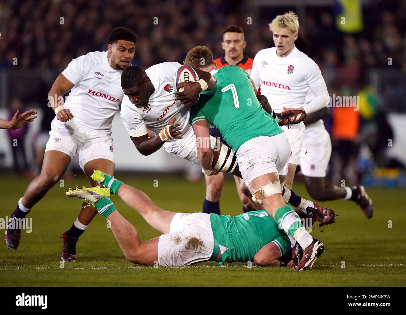 Georgia pa2024 pa2024 pa2024 pa2024 pa2024 pa2024 pa2024 -Fotos und ...