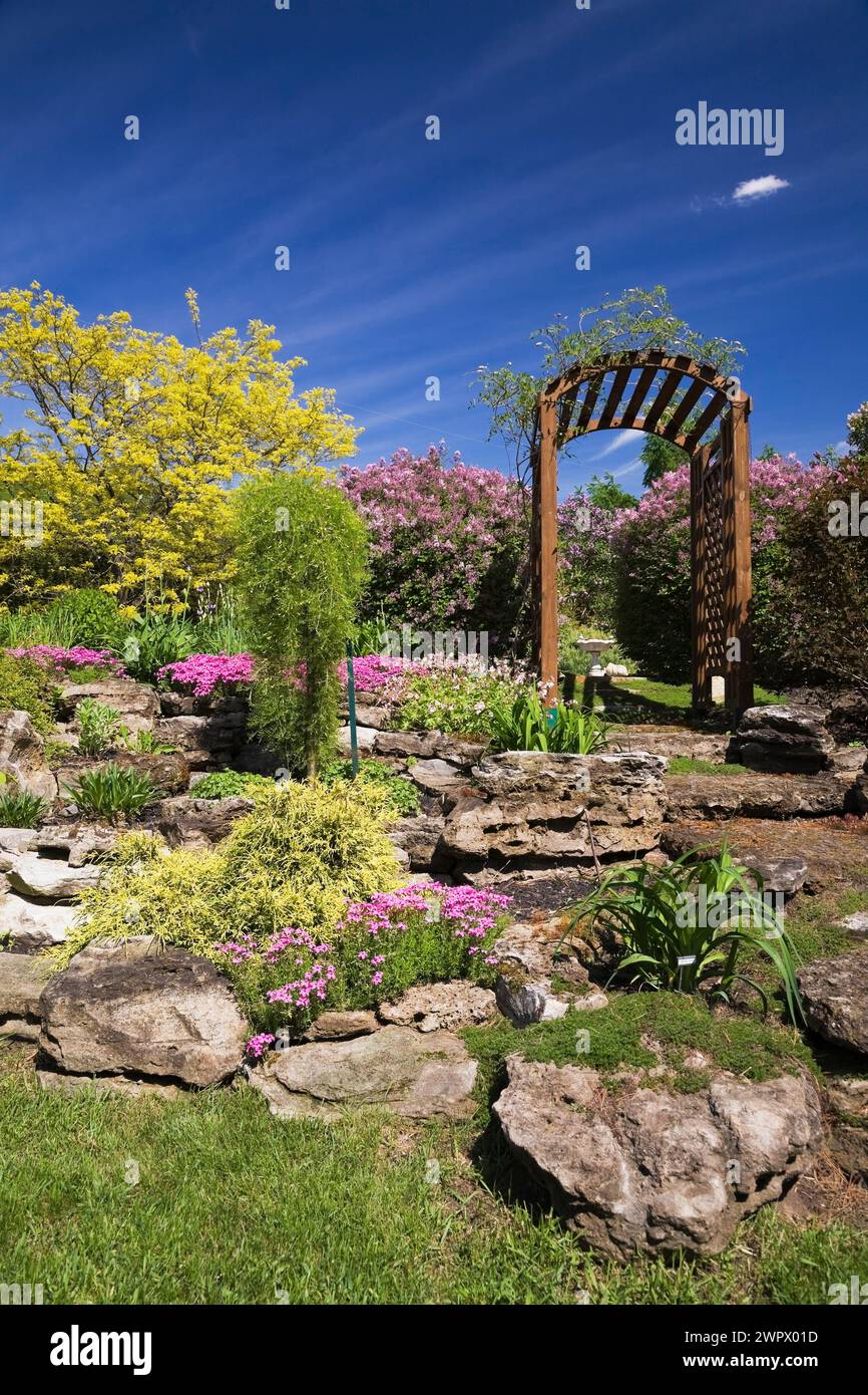 Holzlaube mit Gleditsia triacanthos Inermis 'Sunburst' - Honig ...